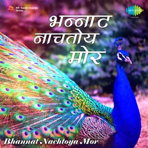 Bhannat Nachtoya Mor Marathi - 27 July 1989 Download | Bhannat Nachtoya ...