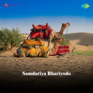Samdariya Bhariyodo - 03 September 2025 Download | Samdariya Bhariyodo ...