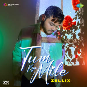 Tum Kya Mile - 11 January 2024 Download | Tum Kya Mile - 11 January ...