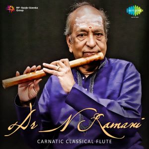 Dr. N. Ramani Carnatic Classical - Flute - 20 May 2000 Download | Dr. N ...