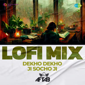 Dekho Dekho Ji Socho Ji - LoFi Mix MP3 Song Download - Dekho Dekho Ji Socho Ji - LoFi Mix