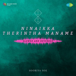 Ninaikka Therintha Maname - Slowed And Reverbed - 23 May 2023 Download ...