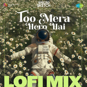 Too Mera Hero Hai - Lofi Mix MP3 Song Download - Too Mera Hero Hai ...