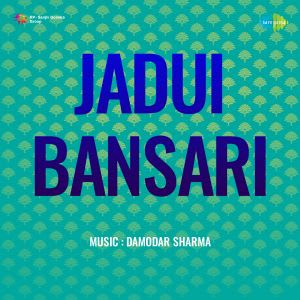 MATA DAYA KARO MP3 Song Download - Jadui Bansari